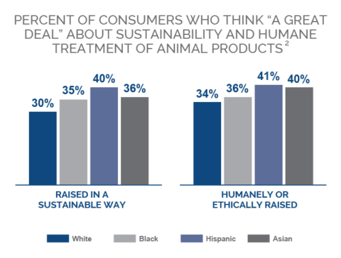 Meat Case Diversity - Multicultural Consumer | Midan